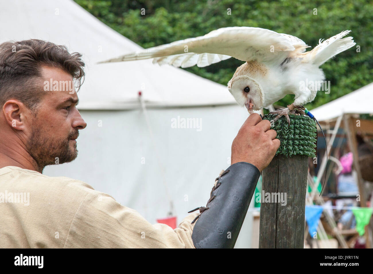 Barn owl handler hi-res stock photography and images - Alamy