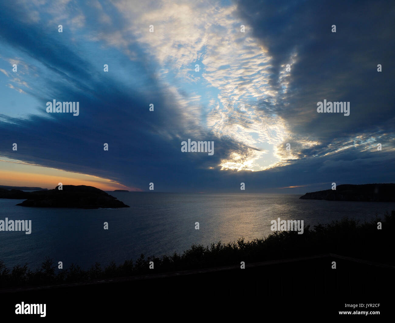 Witless Stock Photos & Witless Stock Images - Alamy