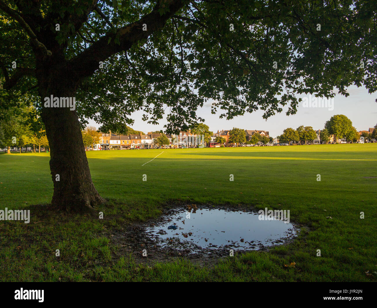 A damp summer leaves a puddle in a London Park and very wet underfoot ...