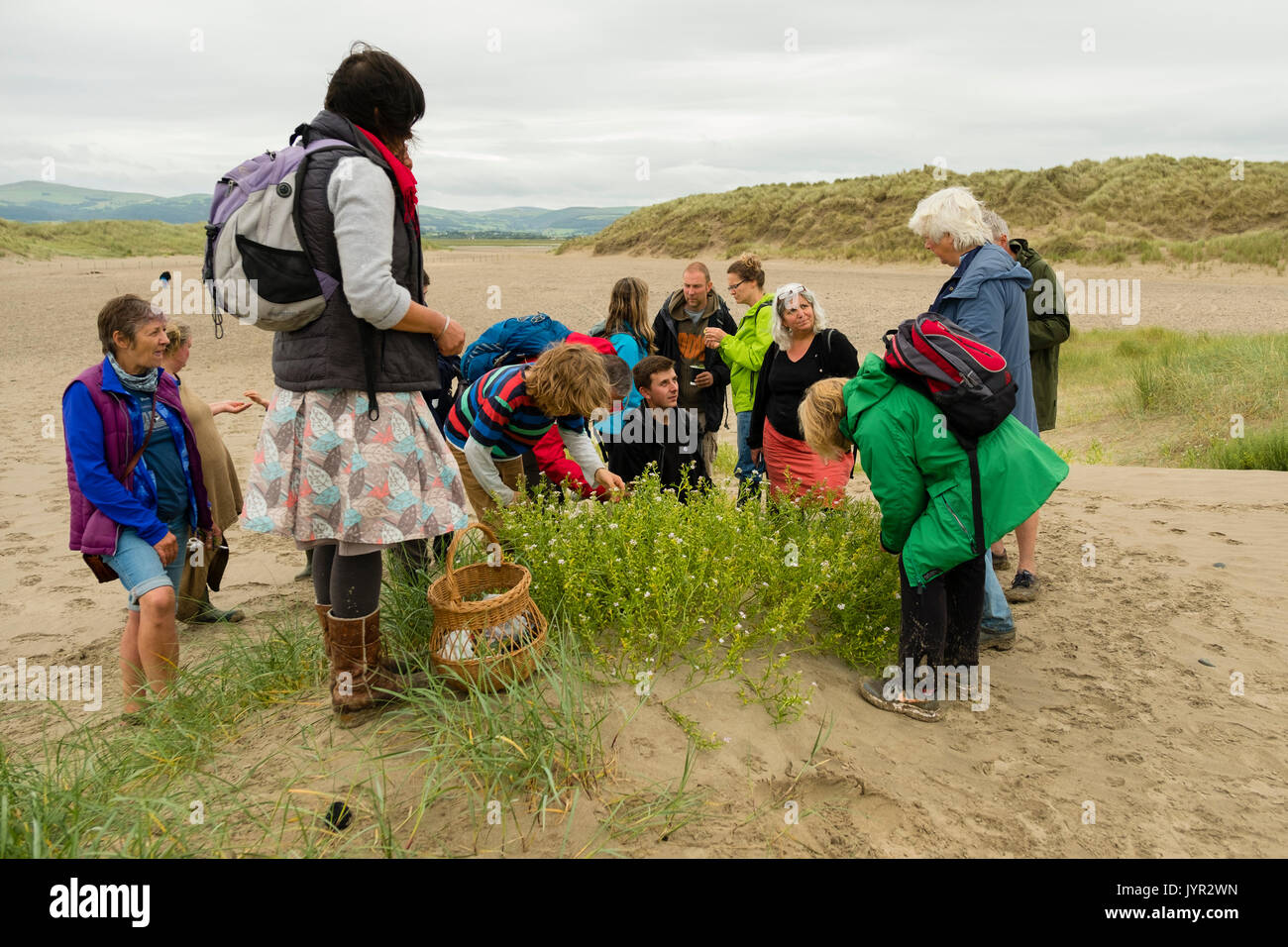 A group of people, lead by a Natural Resources Wales (NRW) warden ...