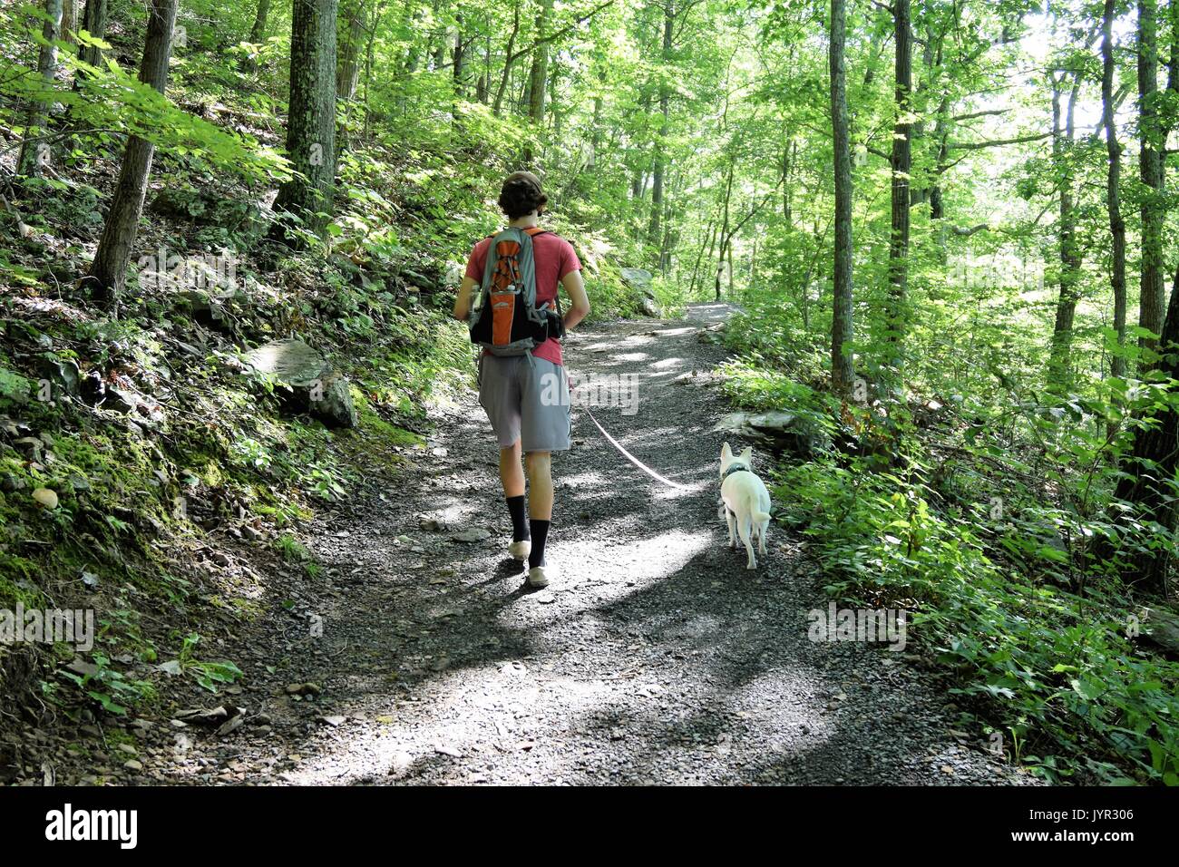 Young man walking small white dog on mountain trail Stock Photo - Alamy