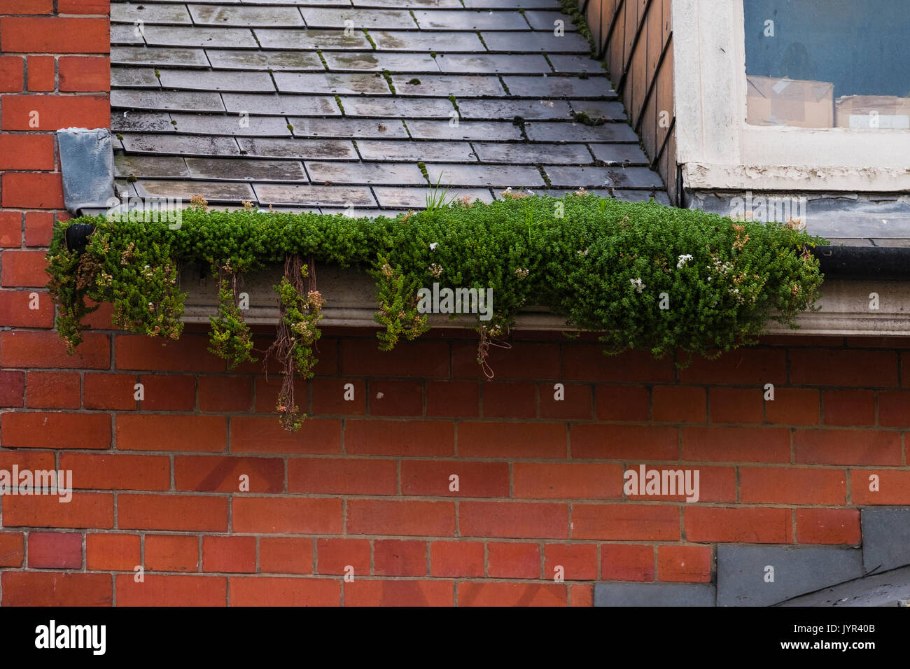Maintenance blocked hi-res stock photography and images - Alamy