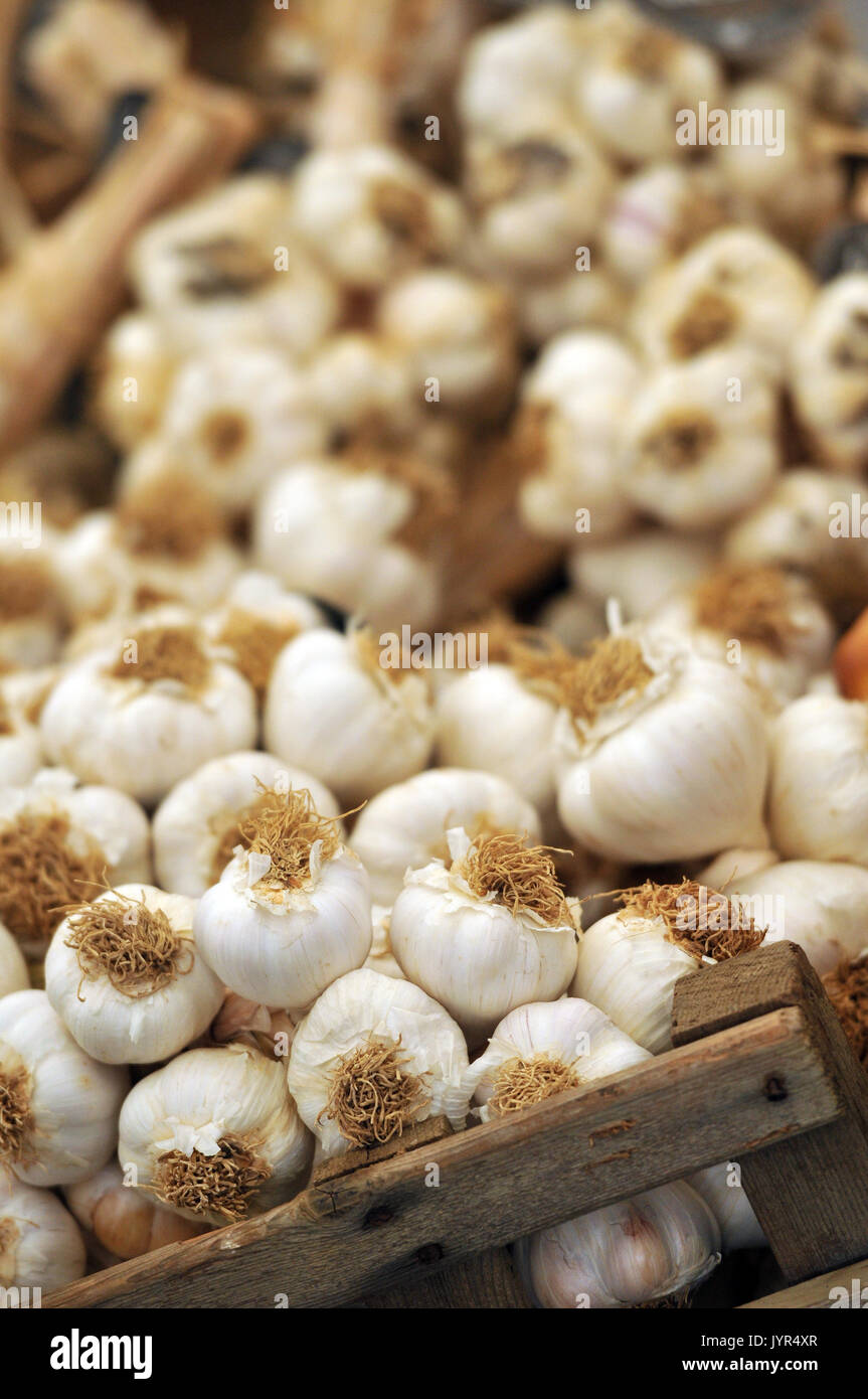 Garlic festival isle of wight hi-res stock photography and images - Alamy