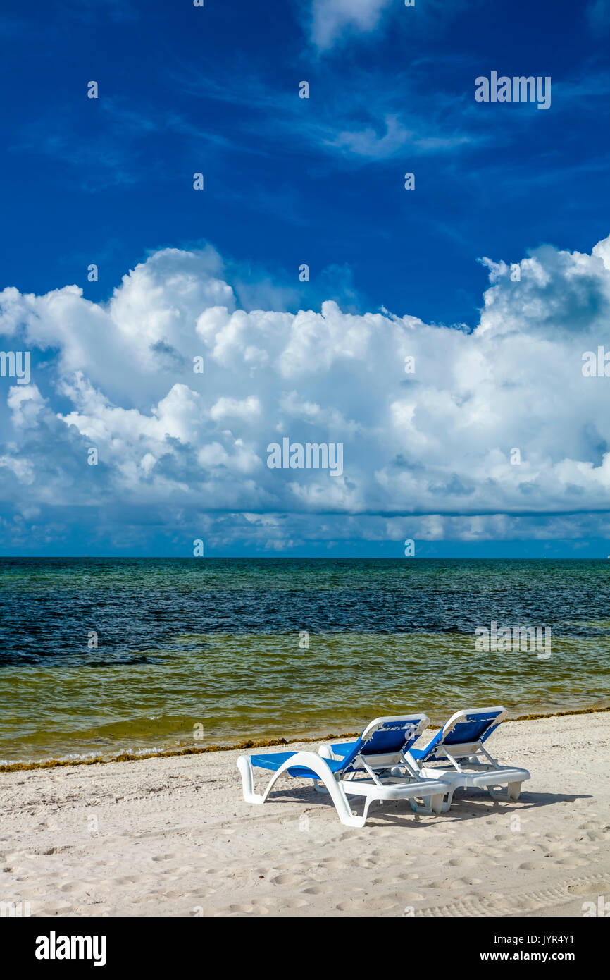 Smathers Beach on the Atlantic Ocean in Key West Florida Stock Photo ...