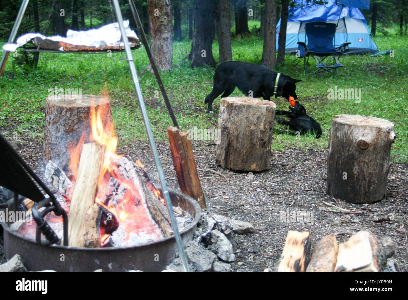 Camping fun hi-res stock photography and images - Alamy