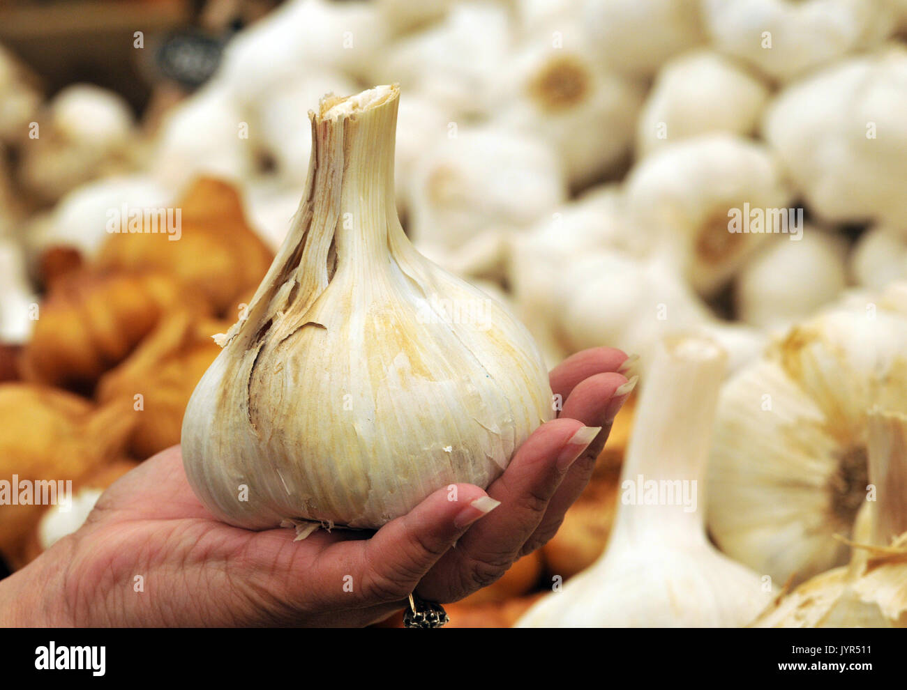 garlic fresh and garlic products at the garlic festival on the isle of ...