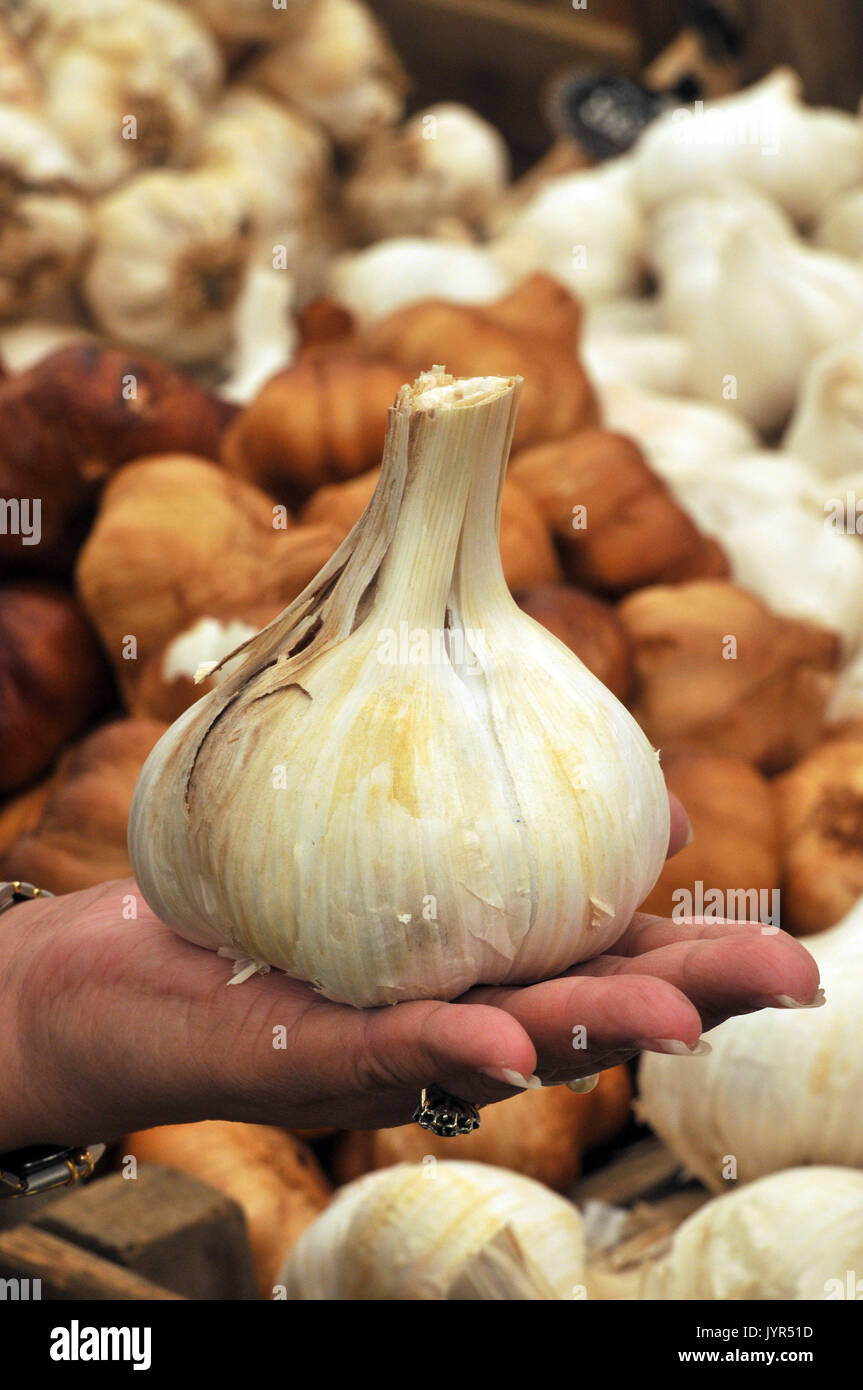 Isle of wight garlic farming hi-res stock photography and images - Alamy
