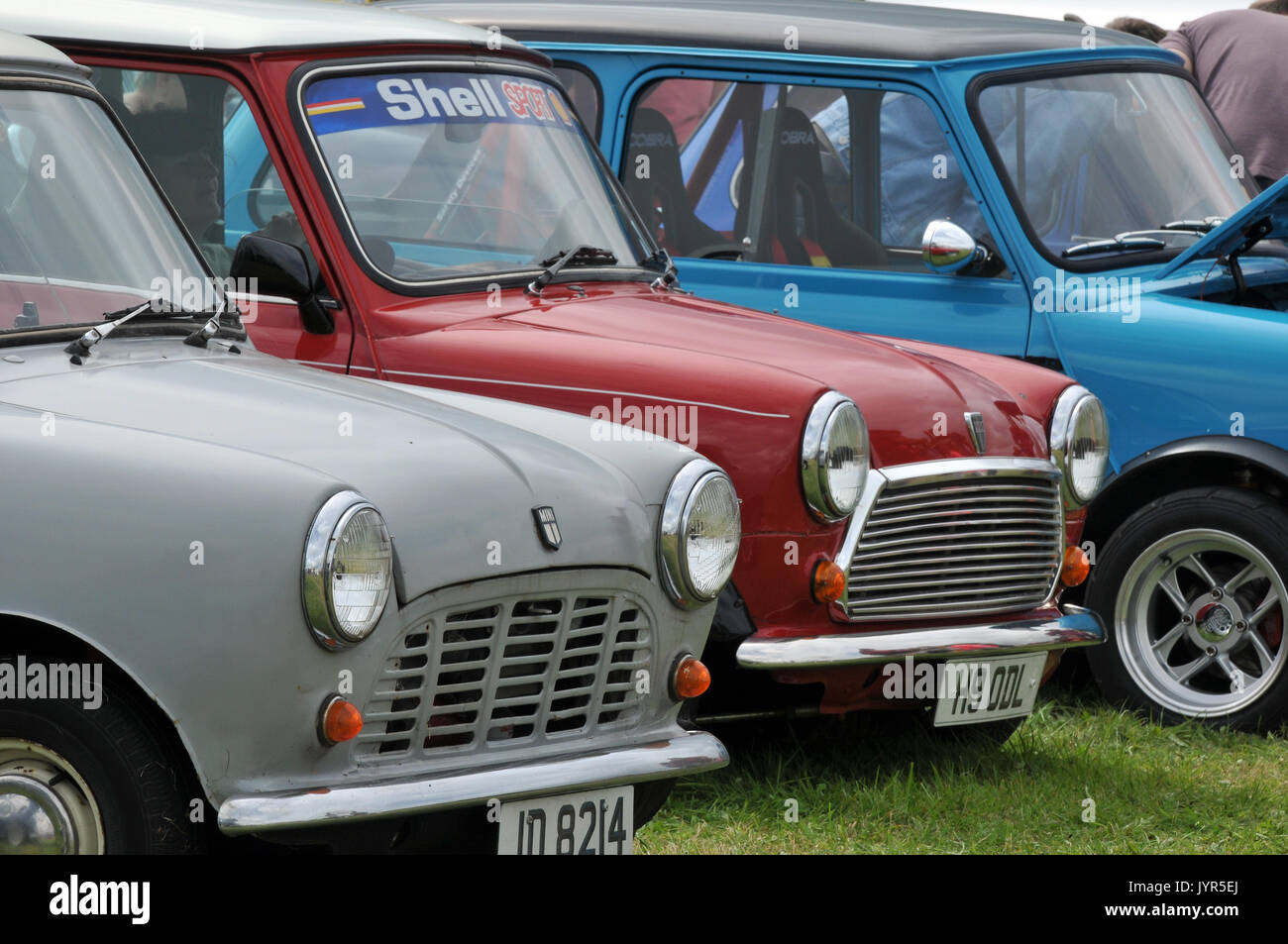 mini owners clubs cars fans of the mini at a meet or festival on the ...