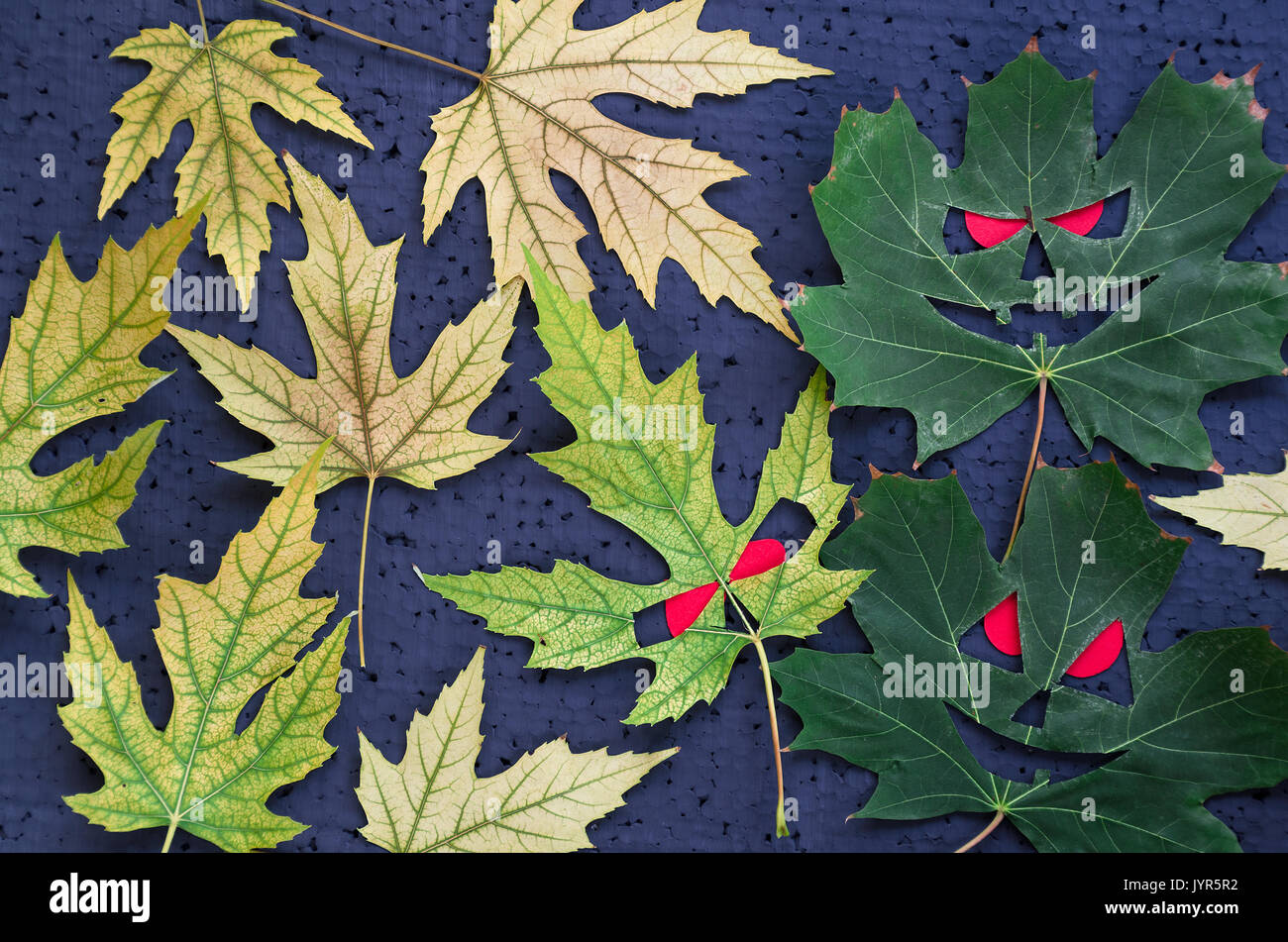 Autumnal pattern in halloween style - maple leaves in the form of evil ...