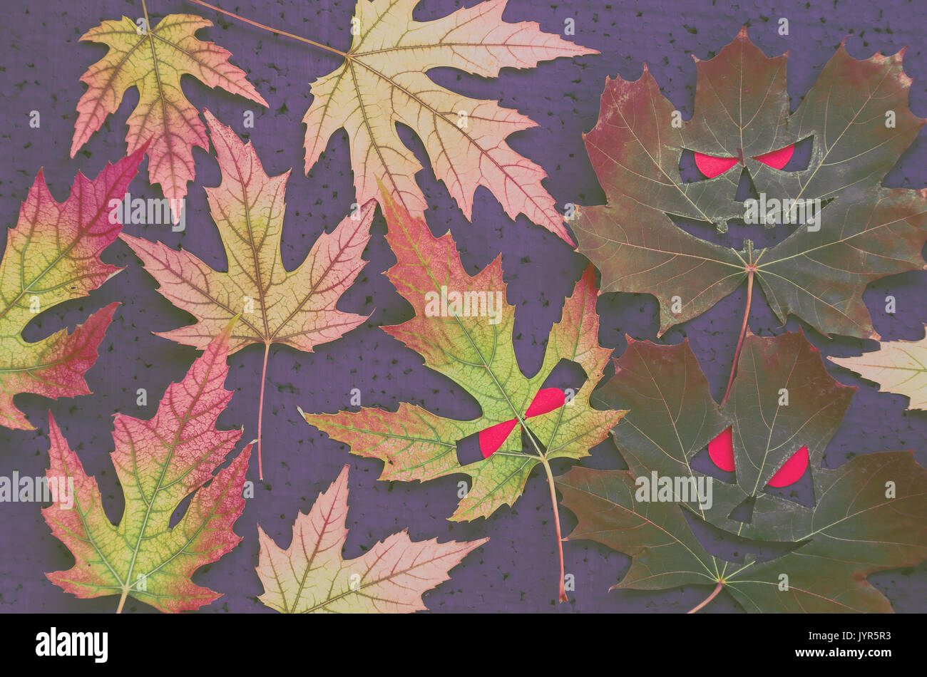 Dark autumnal pattern in halloween style - maple leaves in the form of ...