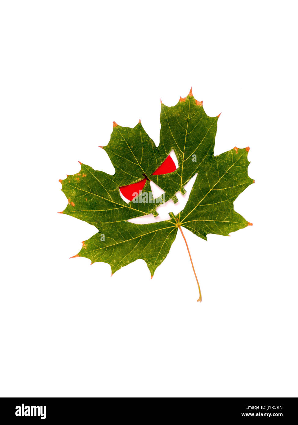 Autumn maple leaf in the style of Halloween - an evil face with red ...