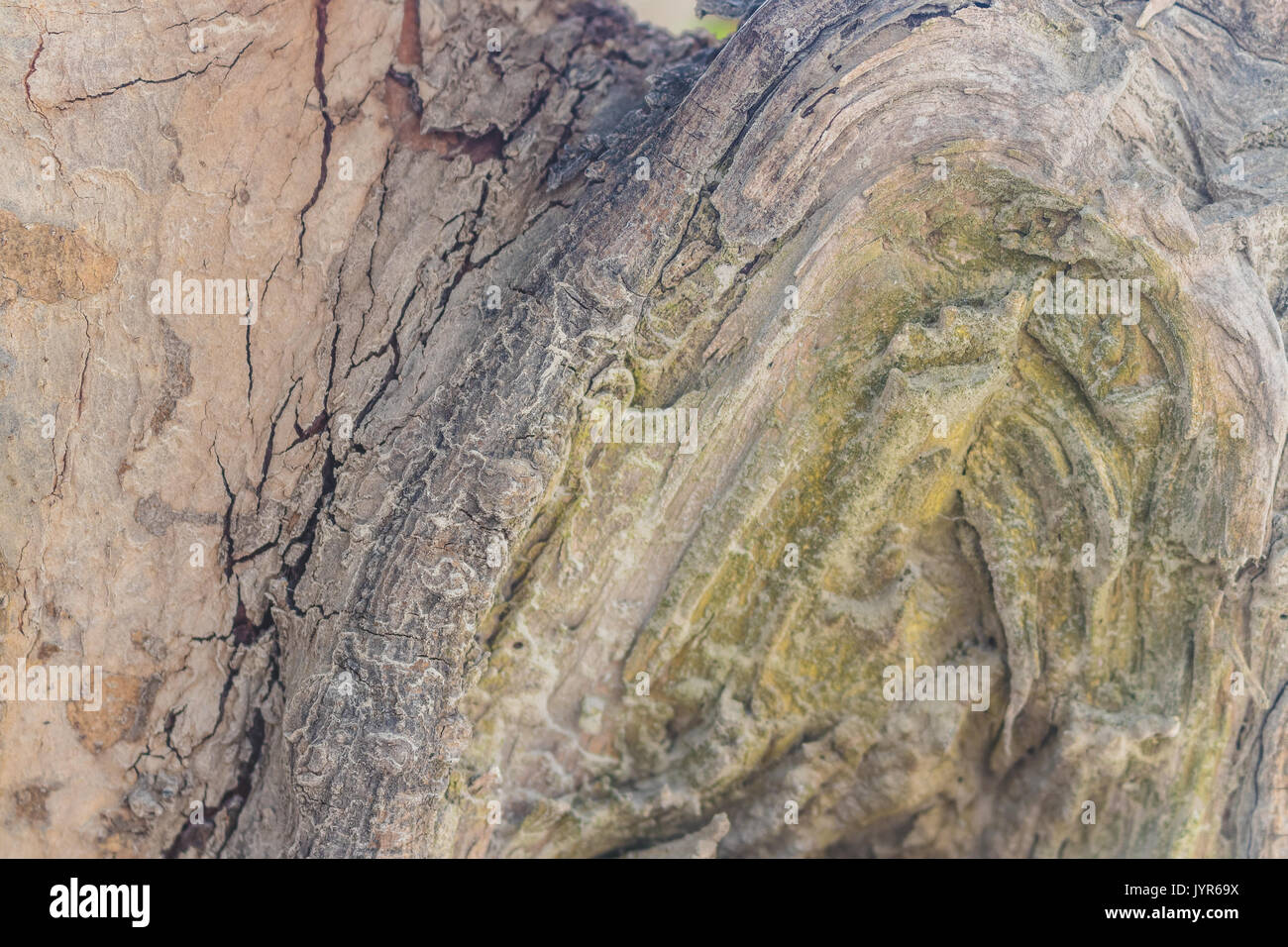 Saint Martin is part of the Leeward Islands in the Caribbean Sea. It ...