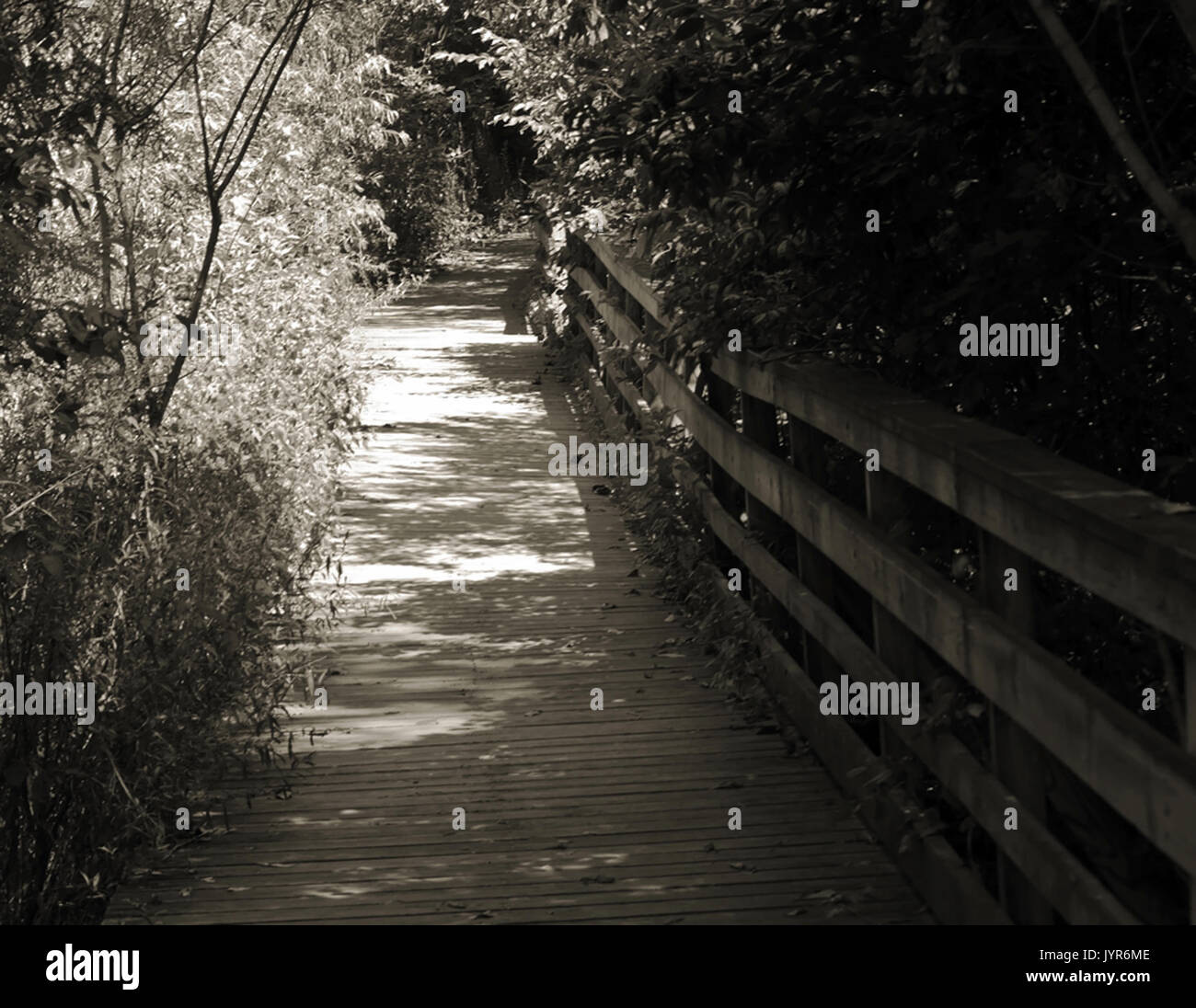 Footpath Black And White High Resolution Stock Photography and Images ...