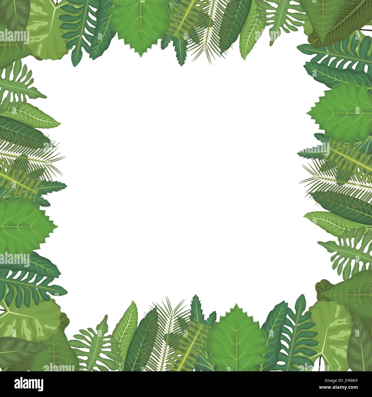 white background with circular border decorative green leaves around ...