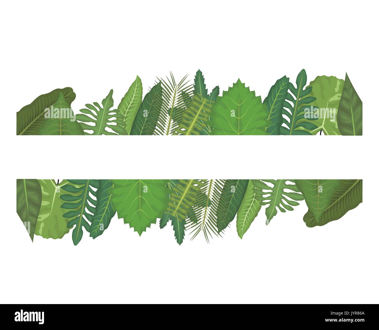 white background with linear edge decorative of green leaves Stock ...