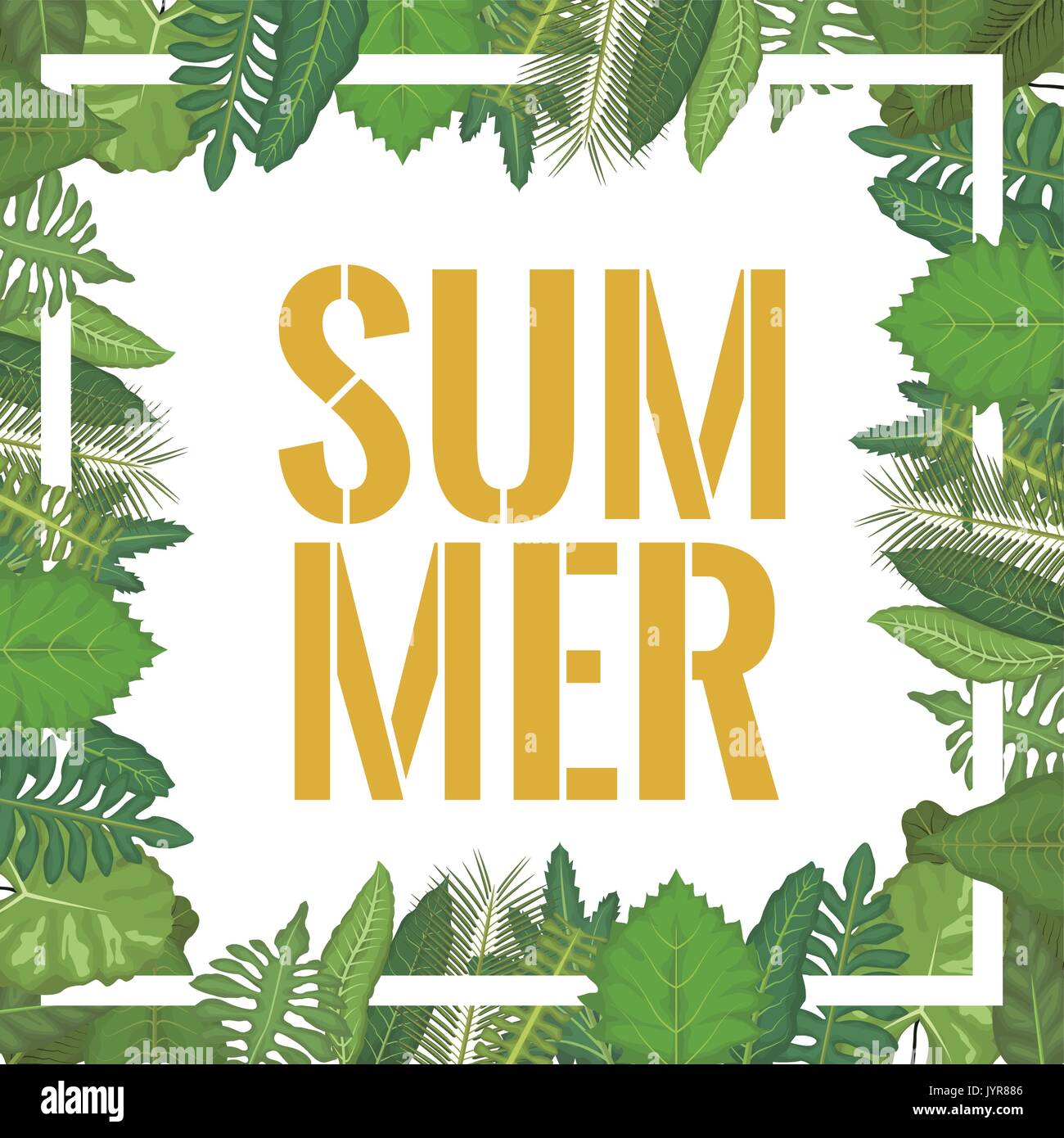 white background with border decorative green leaves and summer text ...