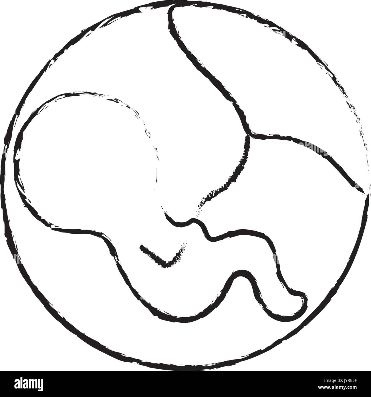 figure baby with umbilical cord inside mothers uterus Stock Vector ...