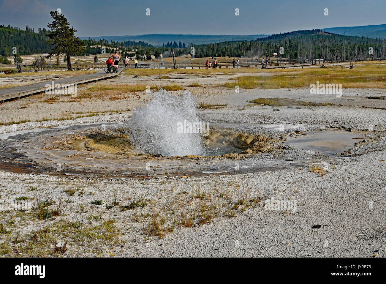 Geysers of Yellowstone Stock Photo - Alamy