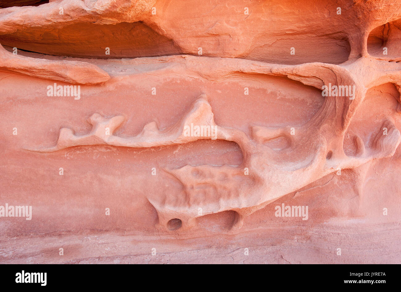 North America; United States; Nevada; Valley of Fire State Park ...