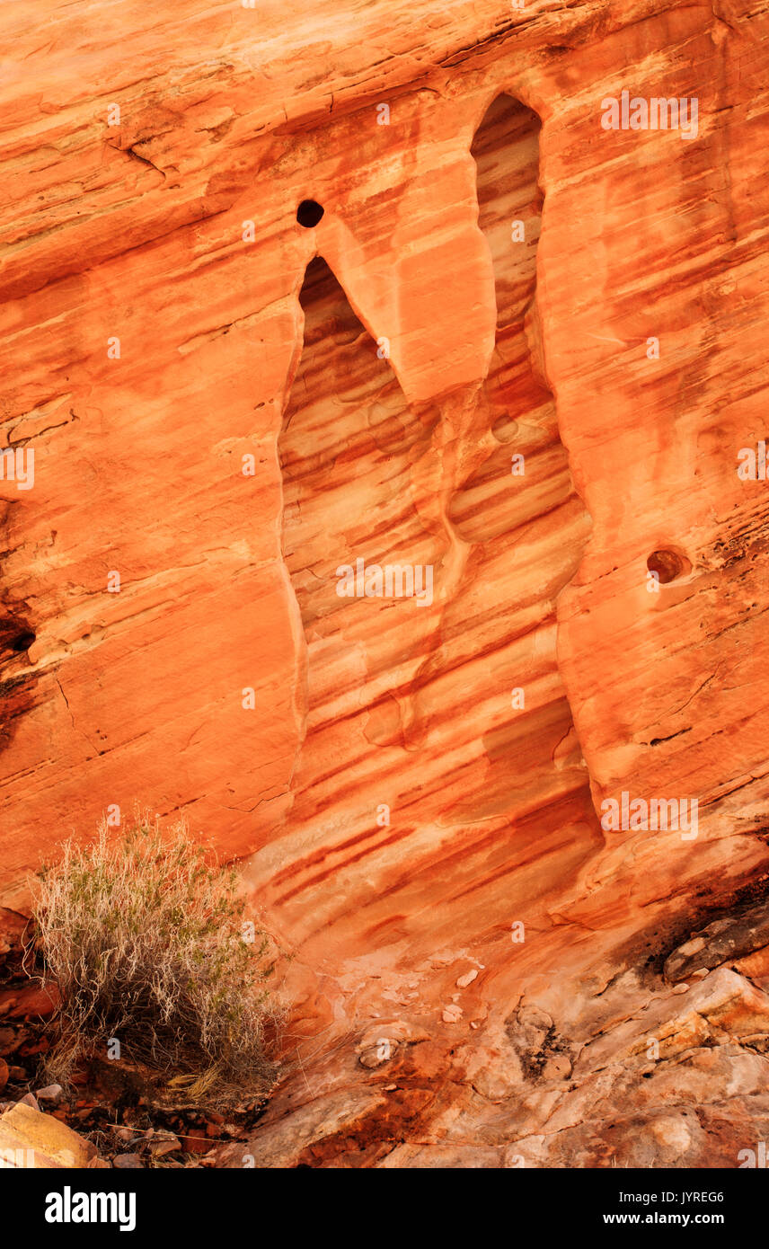 North America; United States; Nevada; Valley of Fire State Park ...