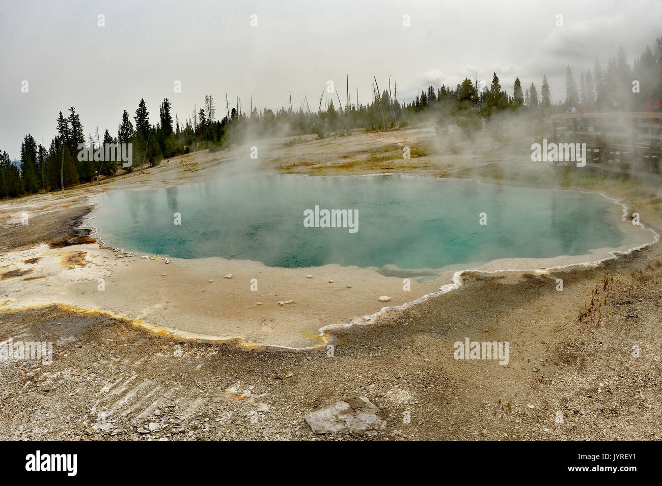 Geysers of Yellowstone Stock Photo - Alamy