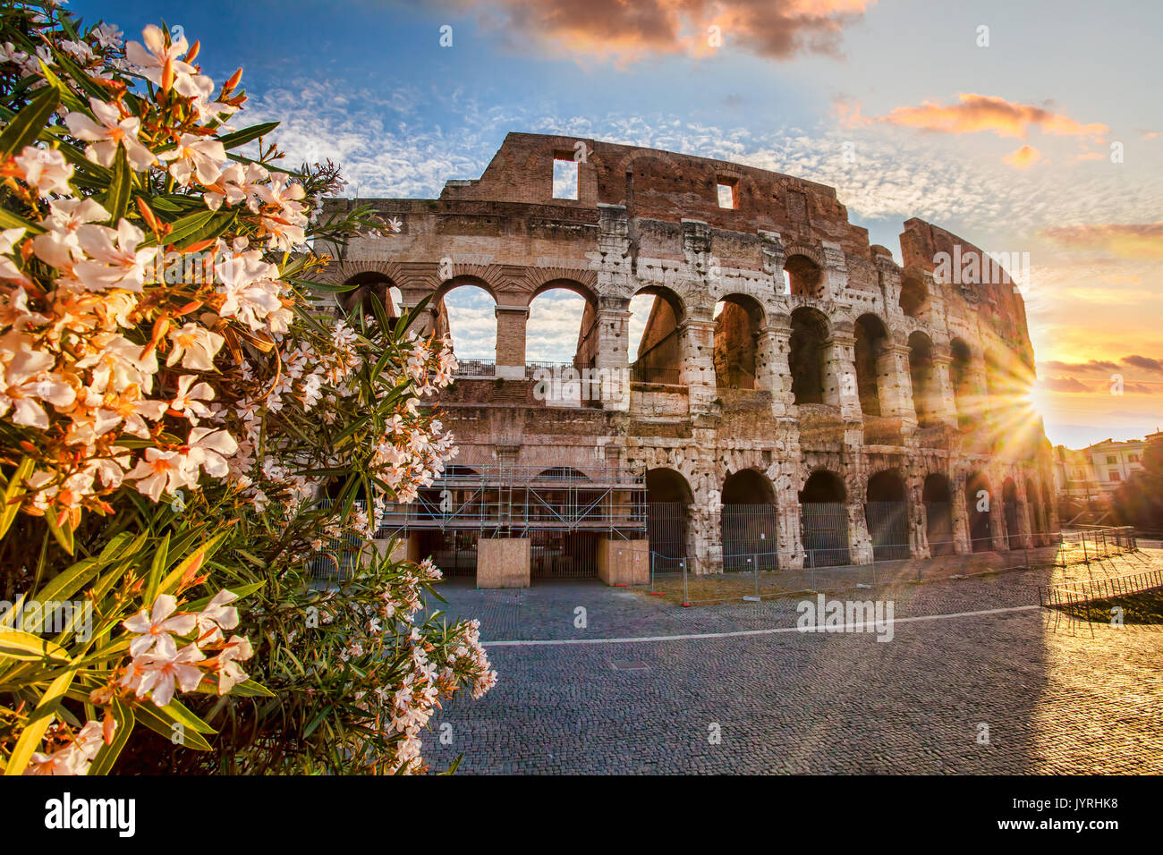 Famous Colosseum with spring flowers in Rome, Italy Stock Photo - Alamy