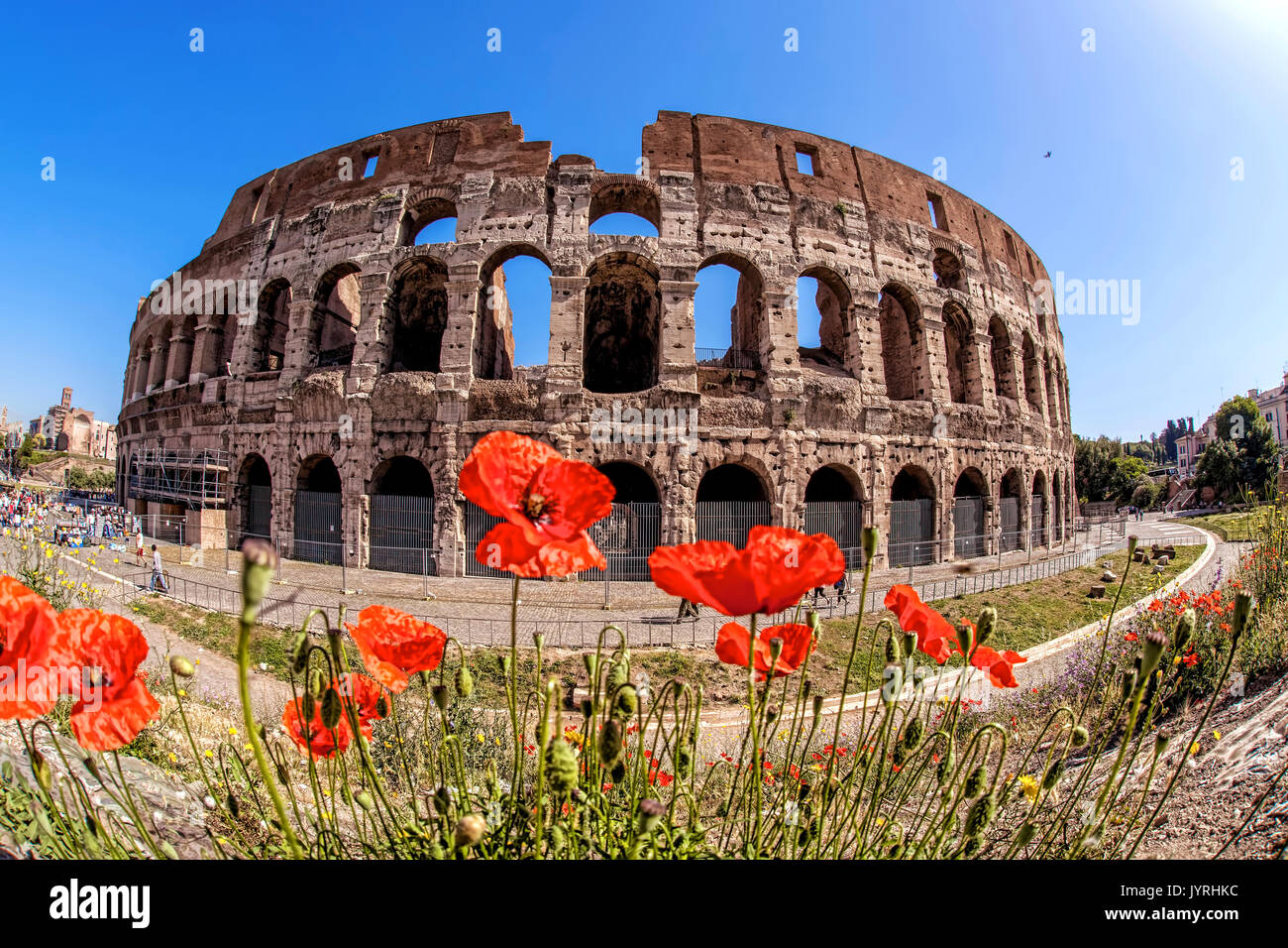 Famous Colosseum with spring flowers in Rome, Italy Stock Photo - Alamy