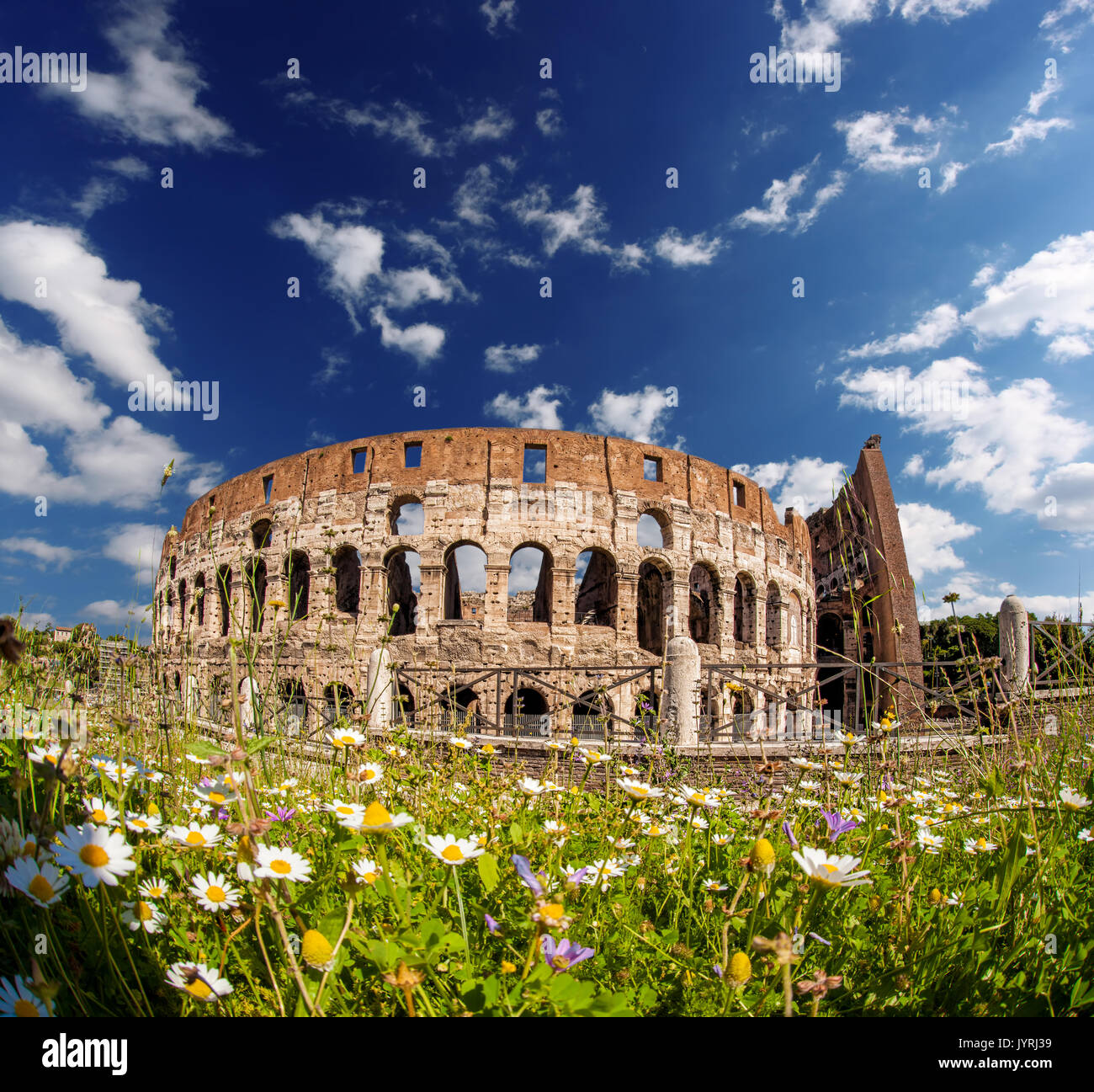 Roman colosseum flowers hi-res stock photography and images - Alamy