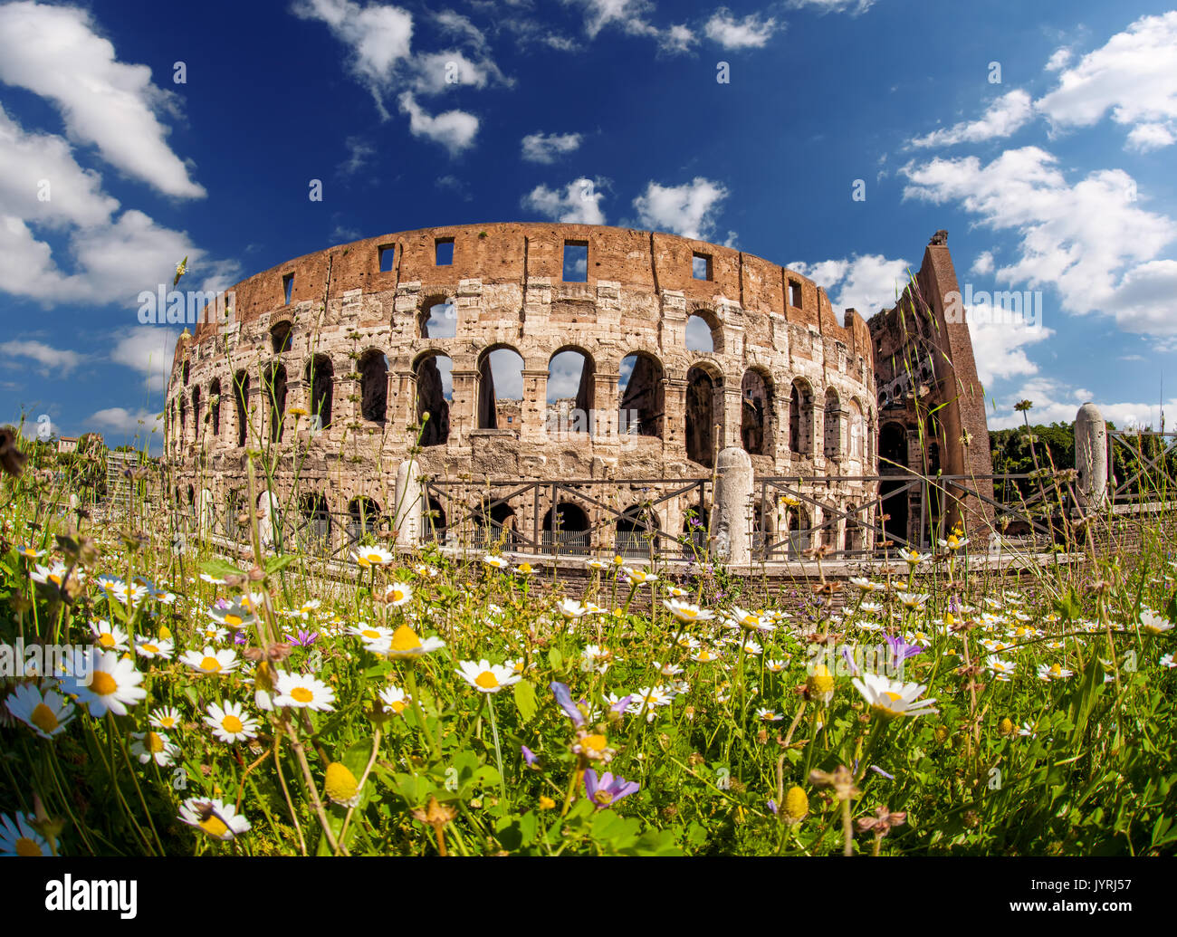 Famous Colosseum with flowers in Rome, Italy Stock Photo - Alamy