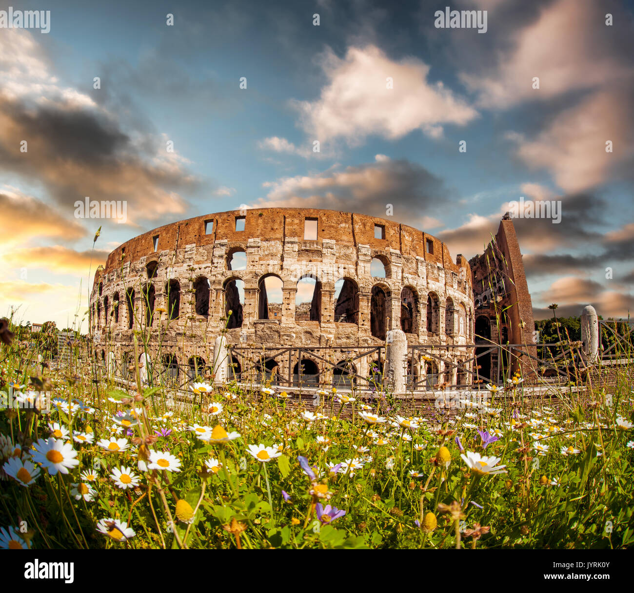 Roman colosseum flowers hi-res stock photography and images - Alamy