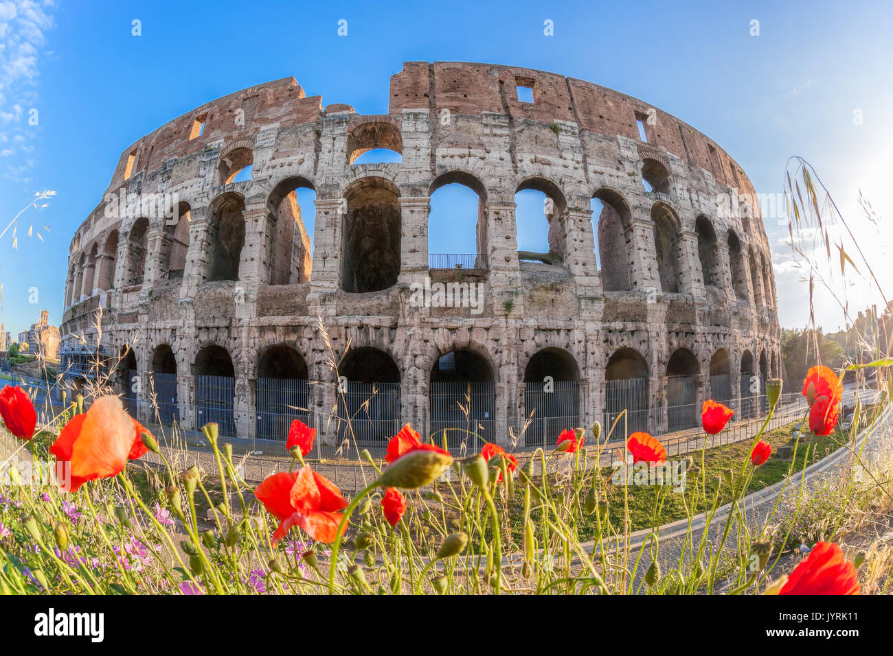 Colosseum with spring flowers in Rome, Italy Stock Photo - Alamy