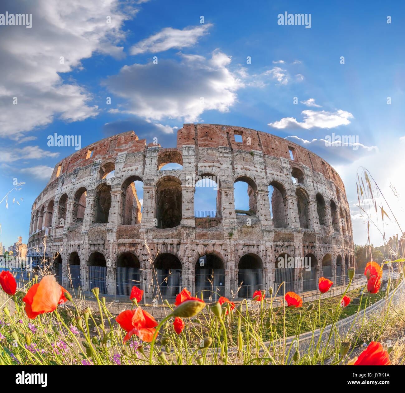 Roman colosseum flowers hi-res stock photography and images - Alamy