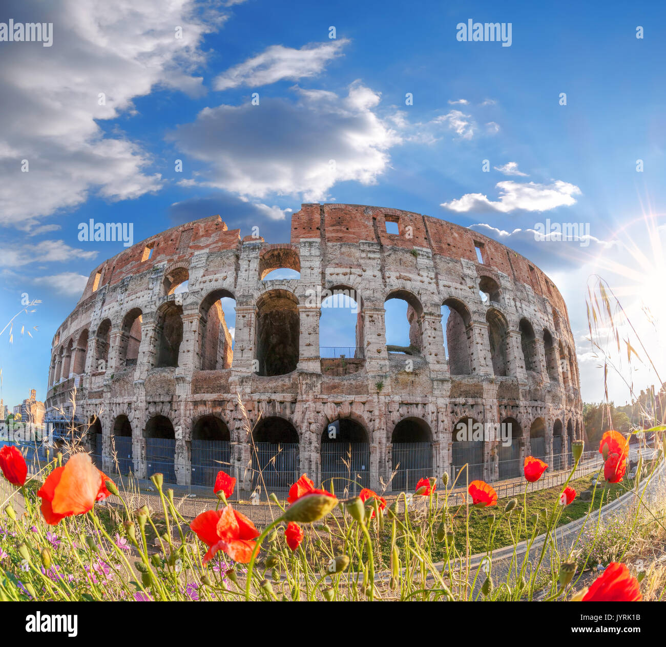 Roman colosseum flowers hi-res stock photography and images - Alamy
