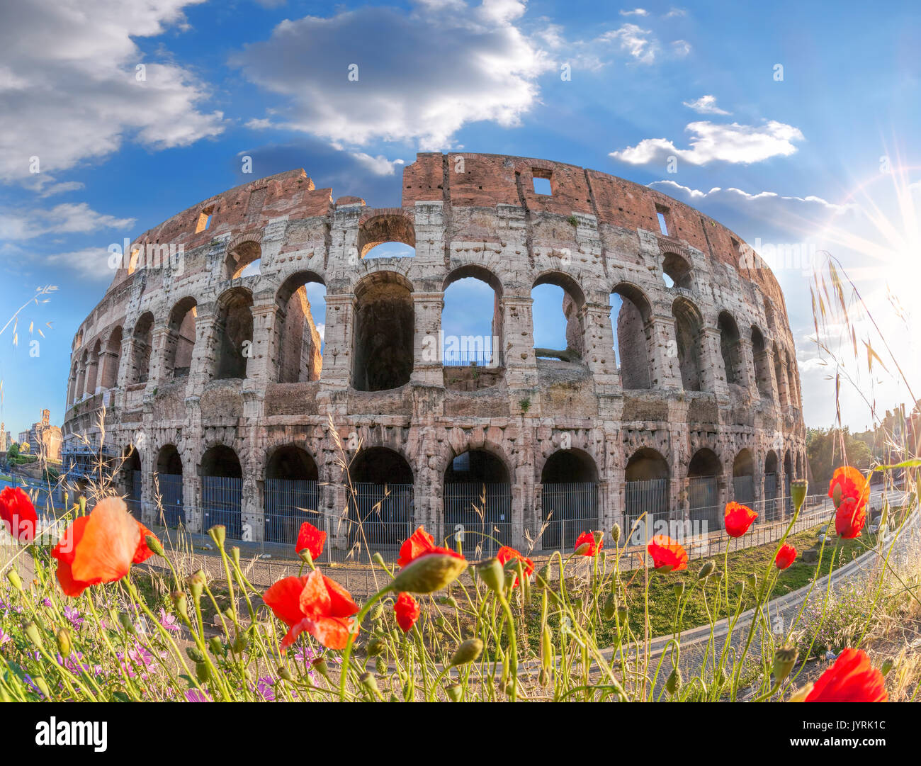 Colosseum with spring flowers in Rome, Italy Stock Photo - Alamy
