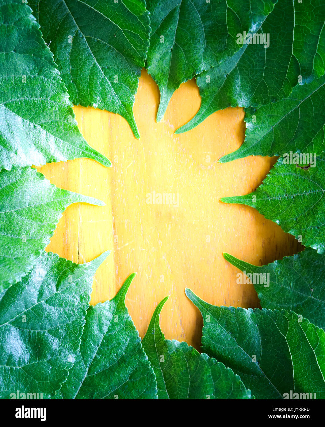 Space in middle of the leaves Stock Photo - Alamy