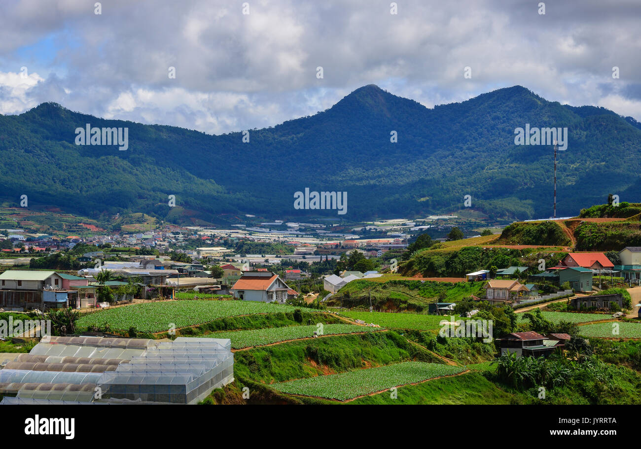 Mountain scenery with plantations in Dalat, Vietnam. Da Lat is a ...