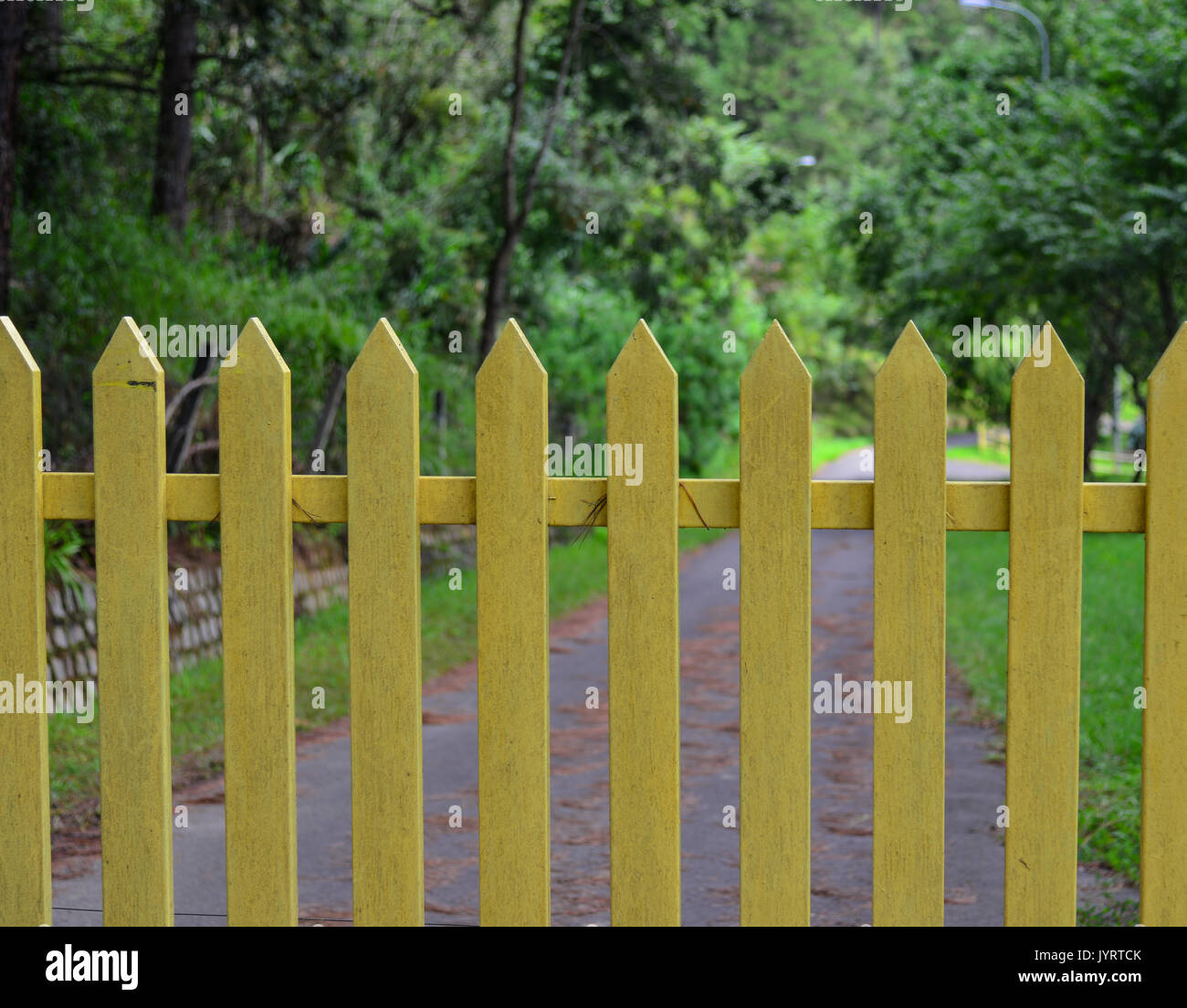 Yellow wooden fence with walkway in pine tree forest Stock Photo - Alamy