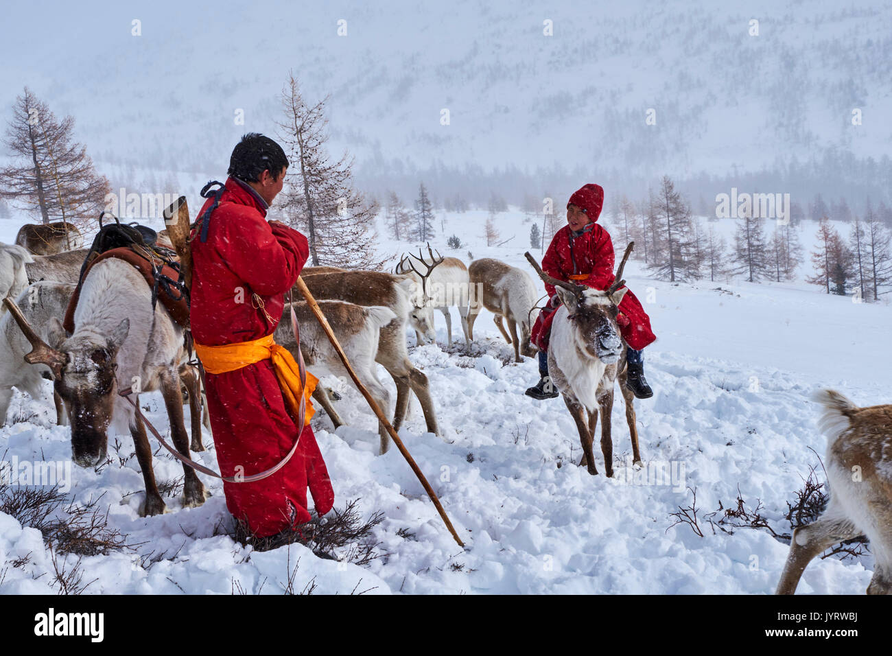 Mongolia, Khovsgol privince, the Tsaatan, reindeer herder, winter ...