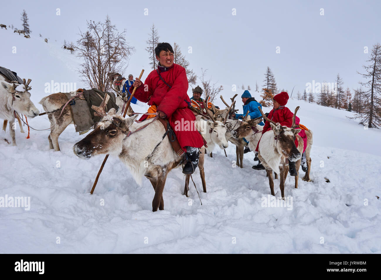 Mongolia, Khovsgol privince, the Tsaatan, reindeer herder, winter ...