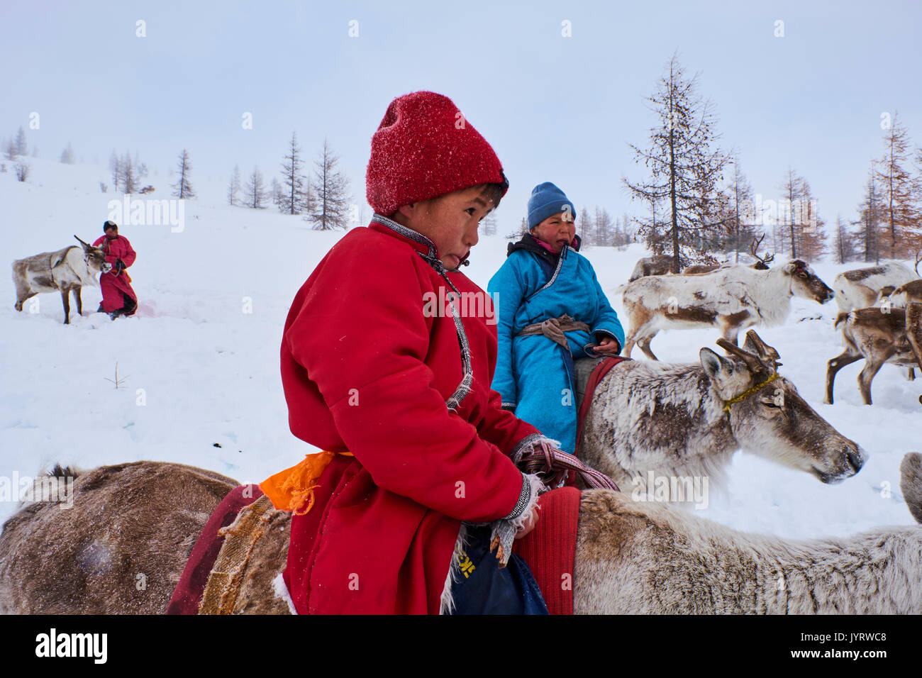 Mongolia, Khovsgol privince, the Tsaatan, reindeer herder, winter ...