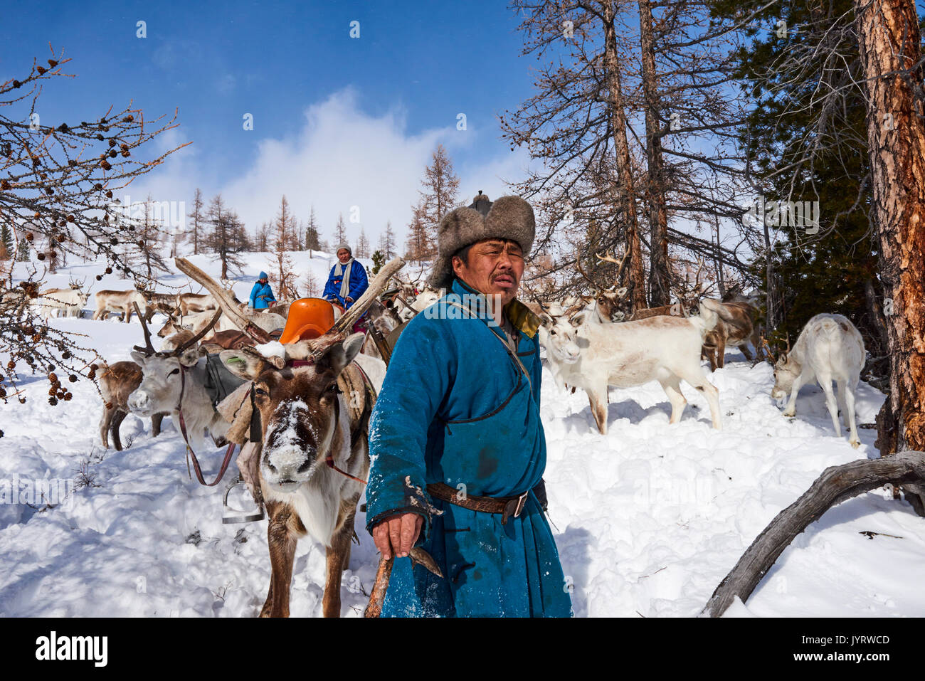 Mongolia, Khovsgol privince, the Tsaatan, reindeer herder, winter ...