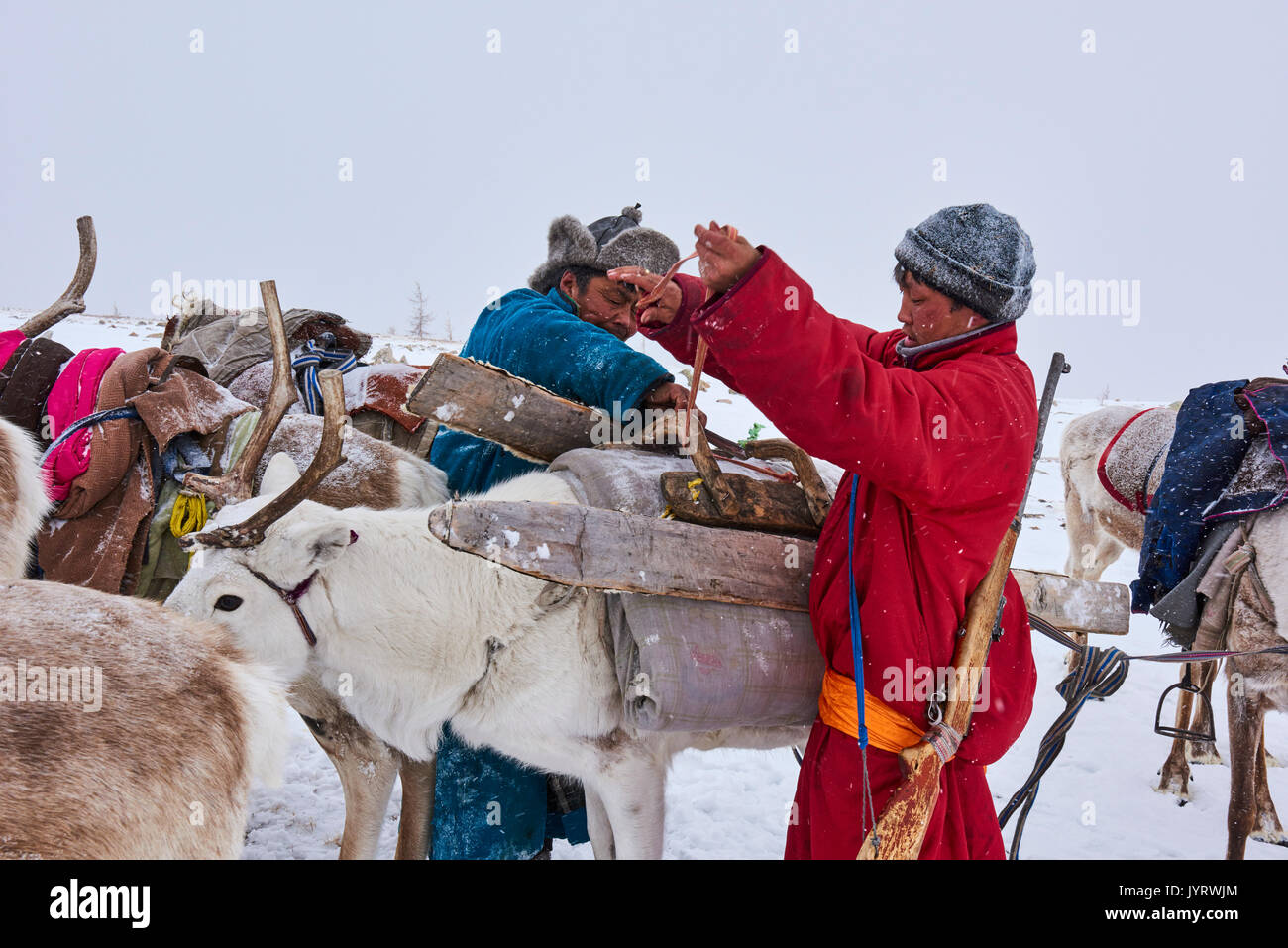 Mongolia, Khovsgol province, the Tsaatan, reindeer herder, winter ...