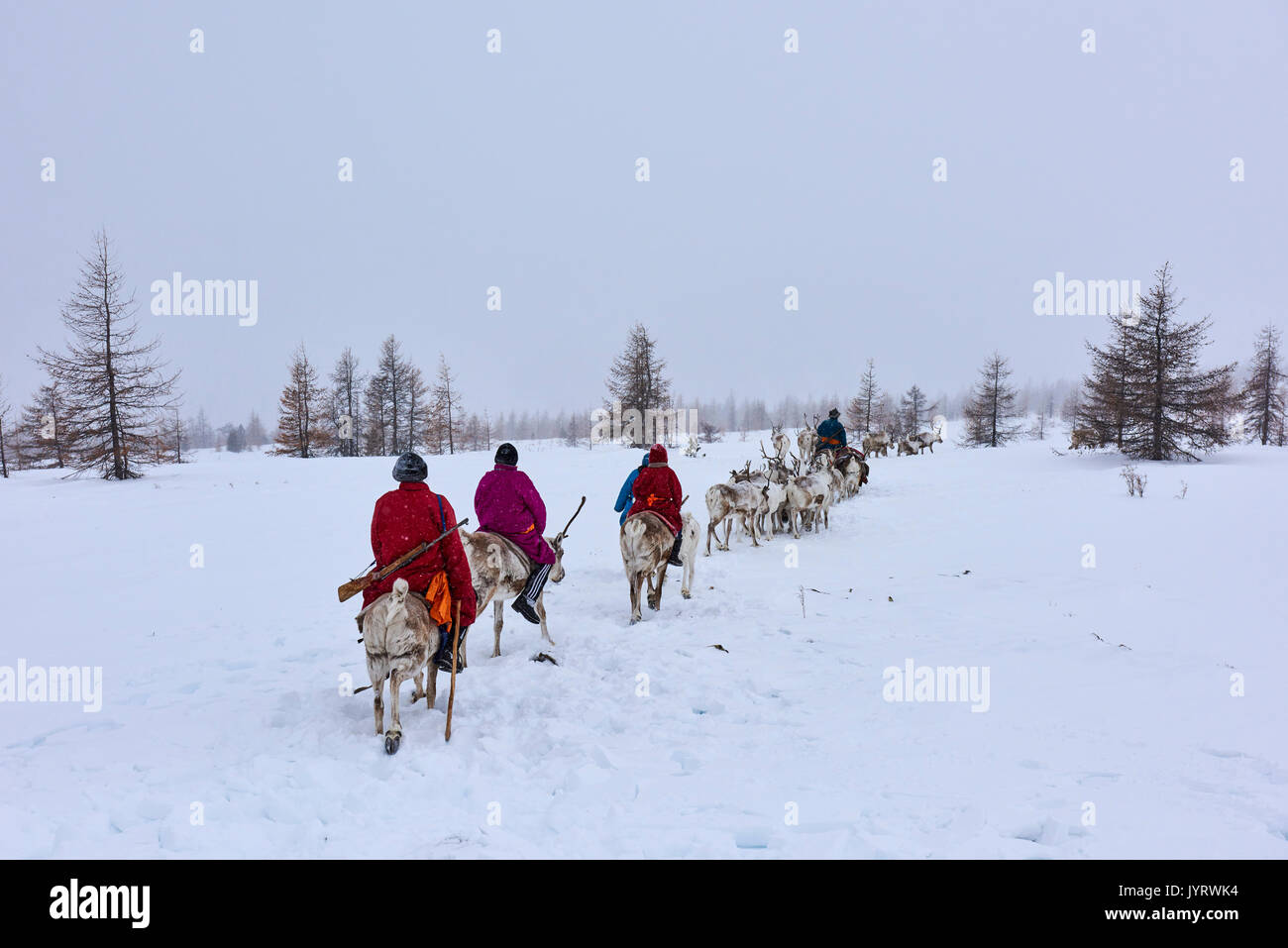 Mongolia, Khovsgol province, the Tsaatan, reindeer herder, winter ...