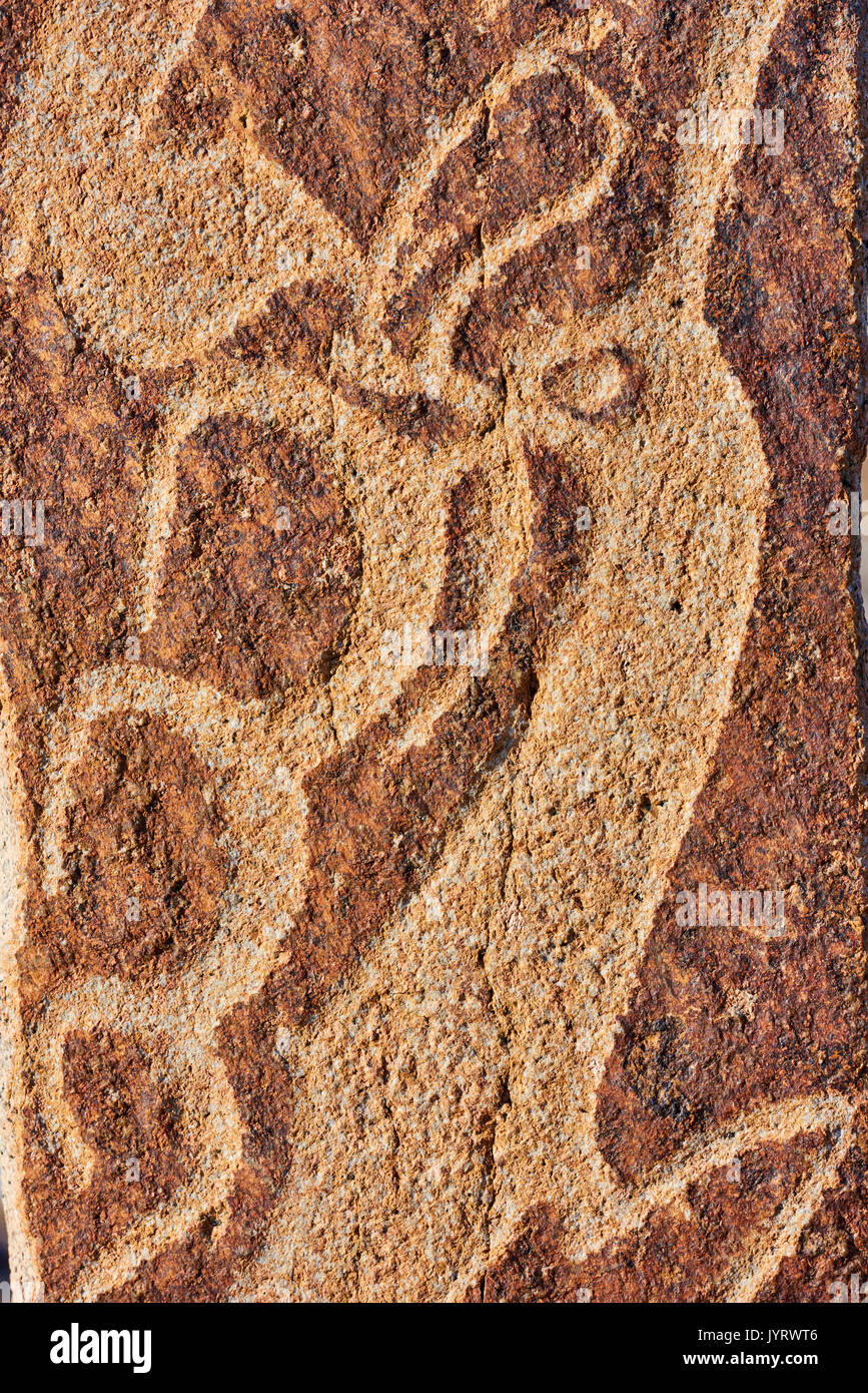 Mongolia, Khuvsgul province, Moron, group of Deer Stones of Uushigiin ...