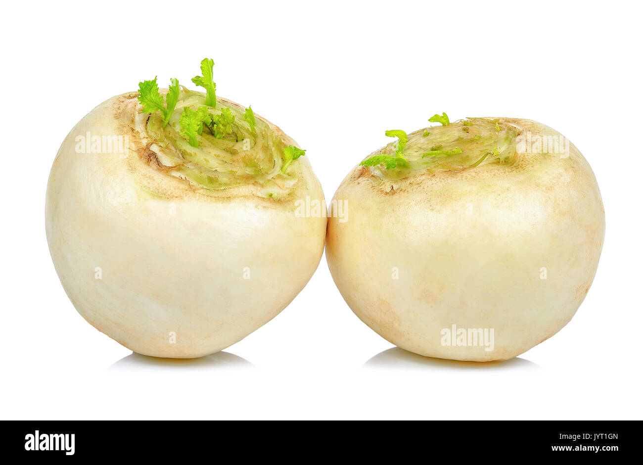 White turnip isolated on the white background Stock Photo - Alamy