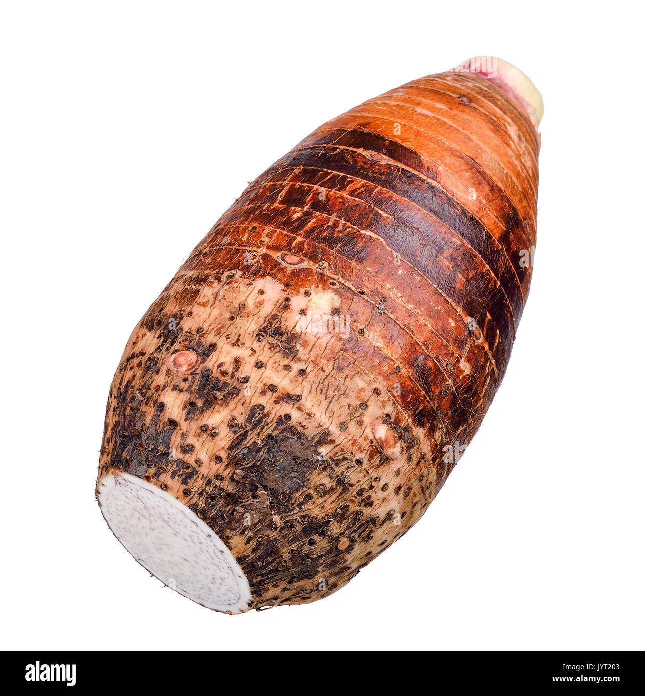 Taro isolated on the white background Stock Photo - Alamy