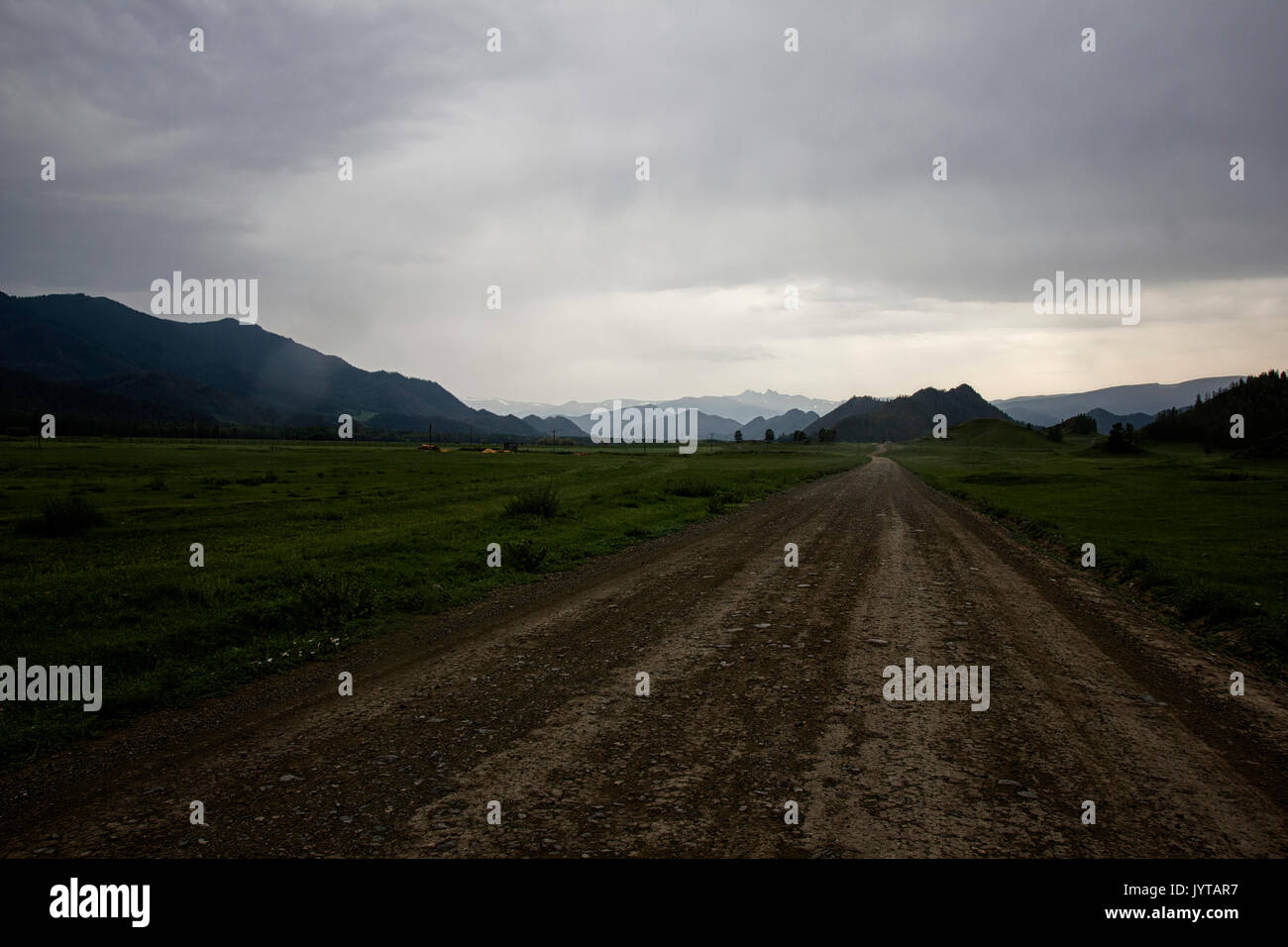 Dry gully forest road hi-res stock photography and images - Alamy