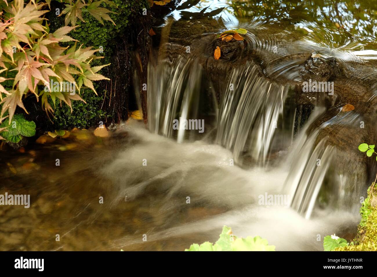 Rushing water stream close up hi-res stock photography and images - Alamy