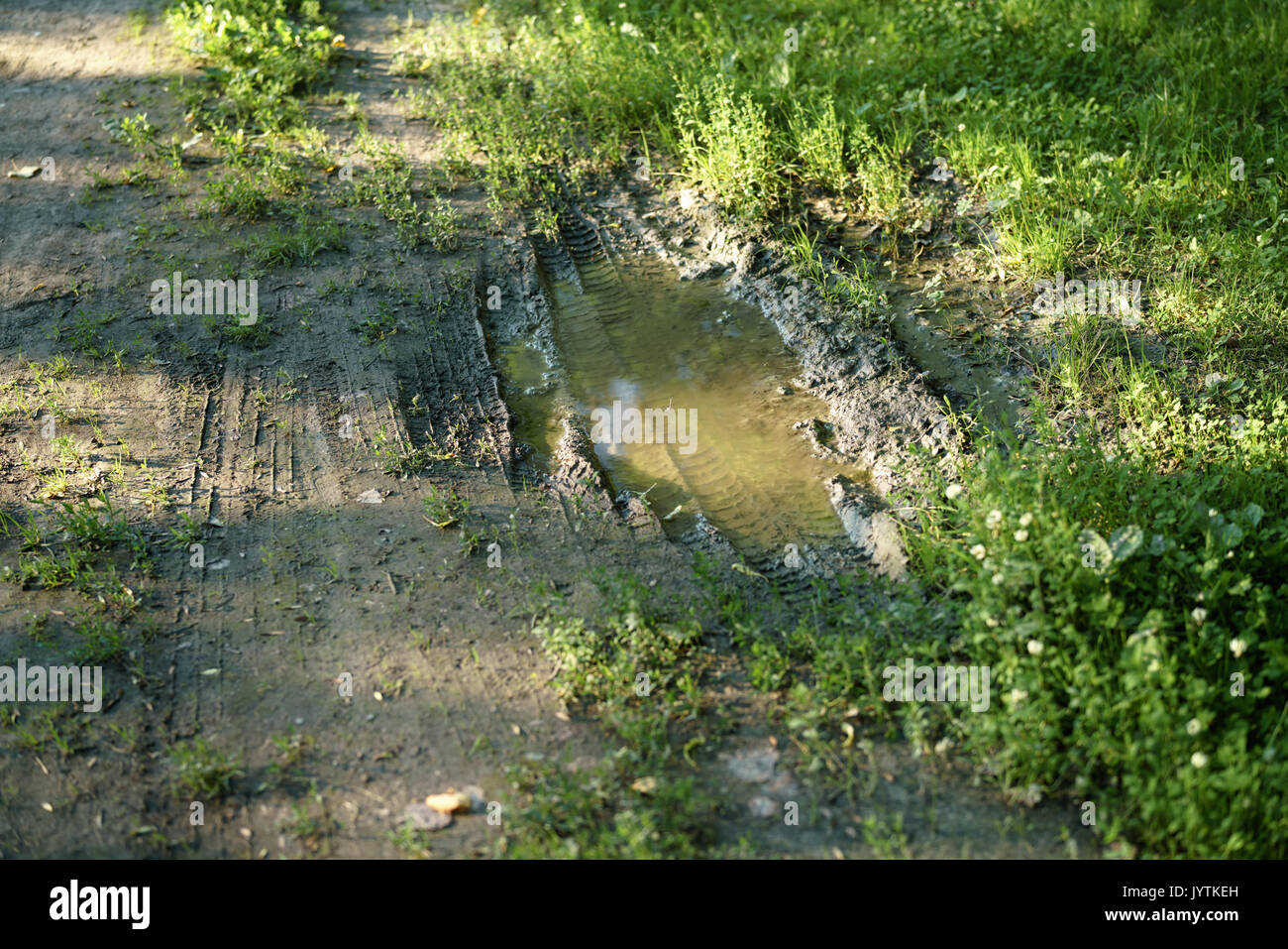 Puddles on a country road hi-res stock photography and images - Alamy