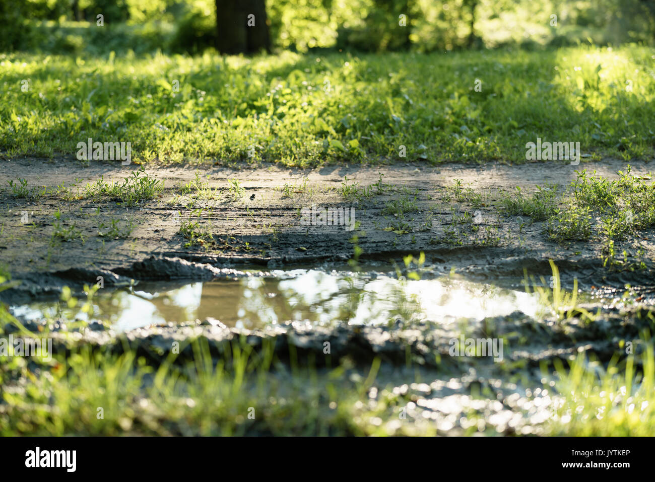 Puddles on a country road hi-res stock photography and images - Alamy